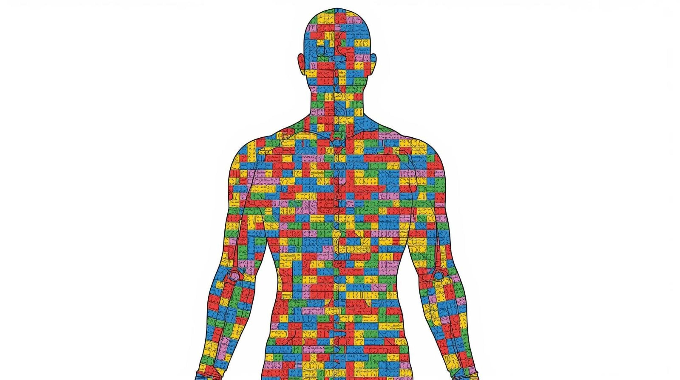 Cellular building blocks may enable new understanding of the body’s ...